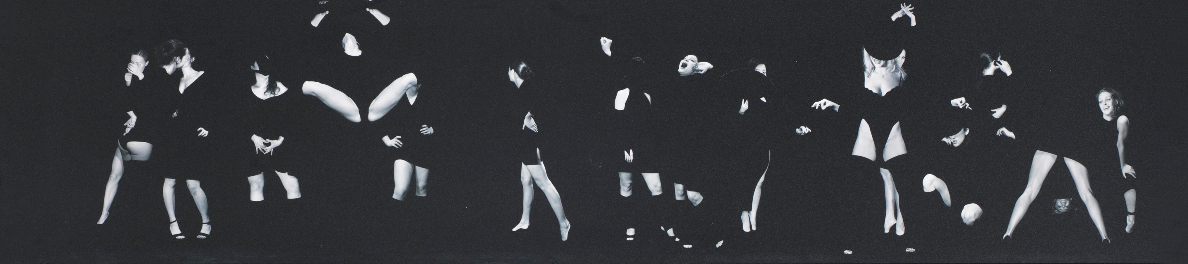 Oleg Kulik, Fragment №8 from the series «Fragments»