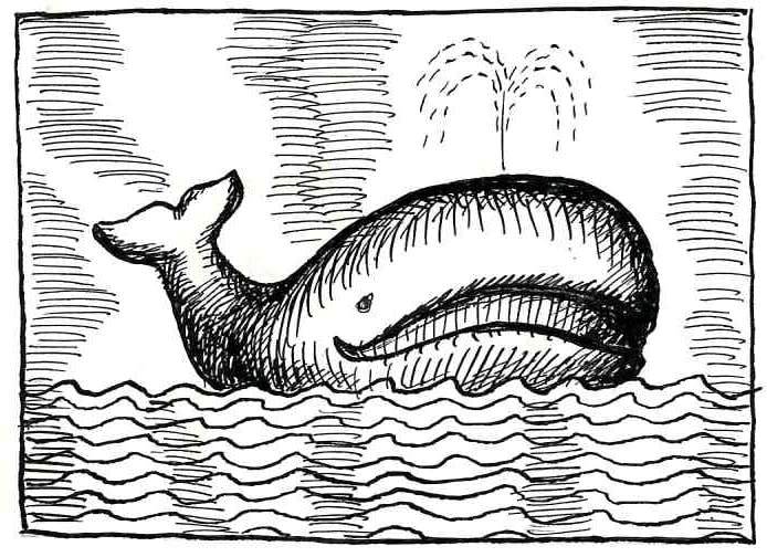 Yulo Sooster, An Illustration for a book «About three whales and many ...