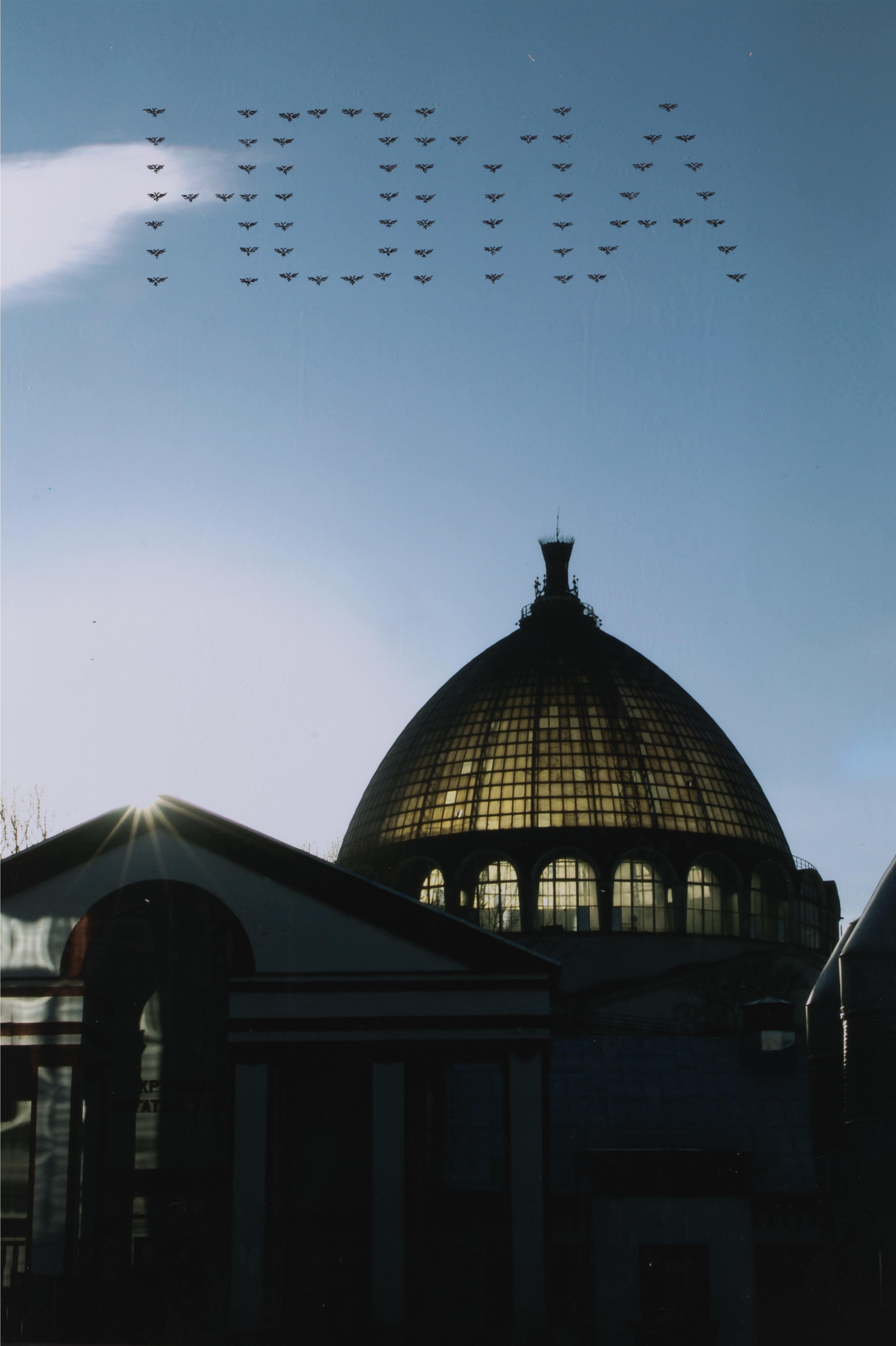 Andrei Filippov, Noma