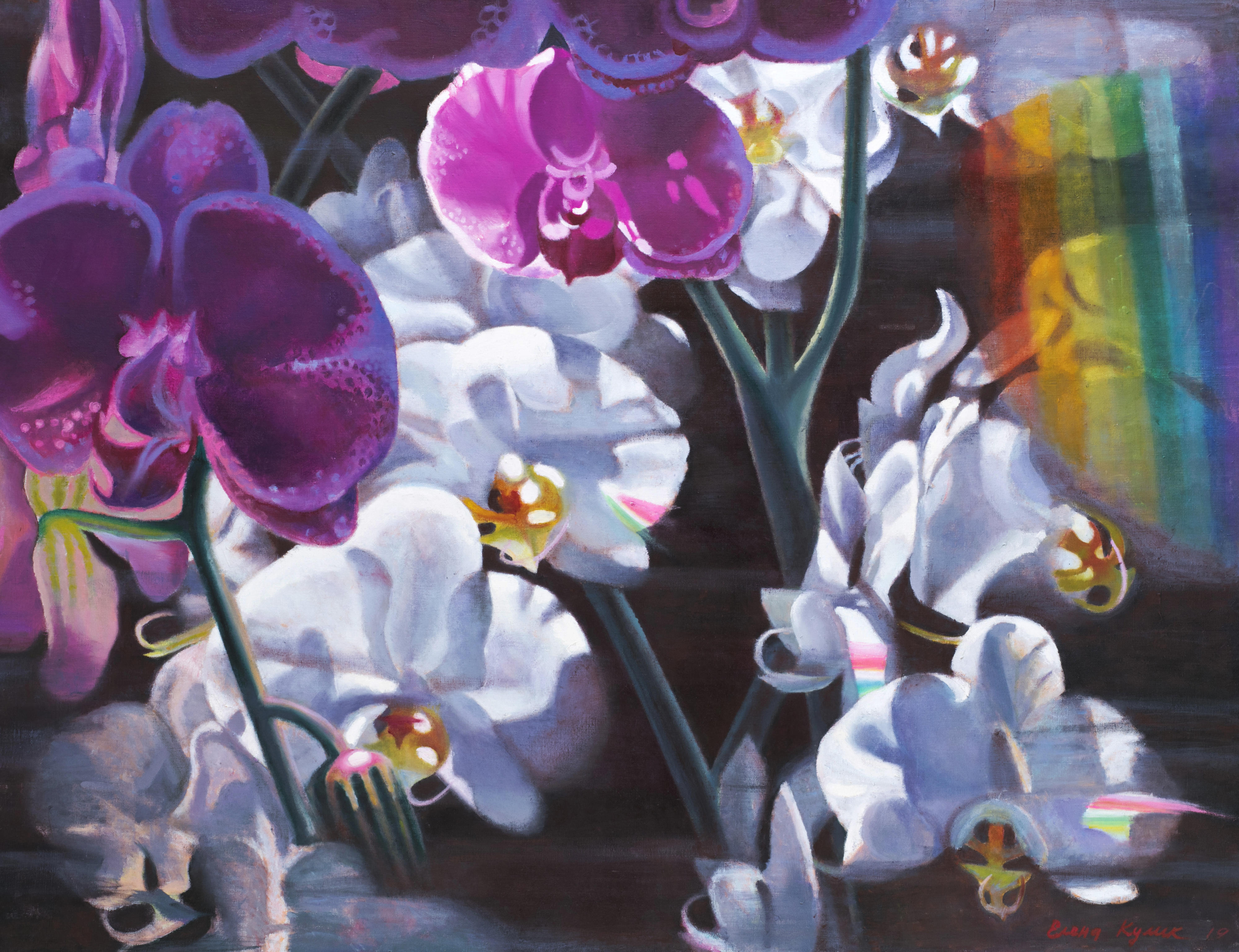 Elena Kulik, Orchids